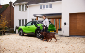 Green Number Plates: Costs, Perks and How to Buy - We Power Your Car